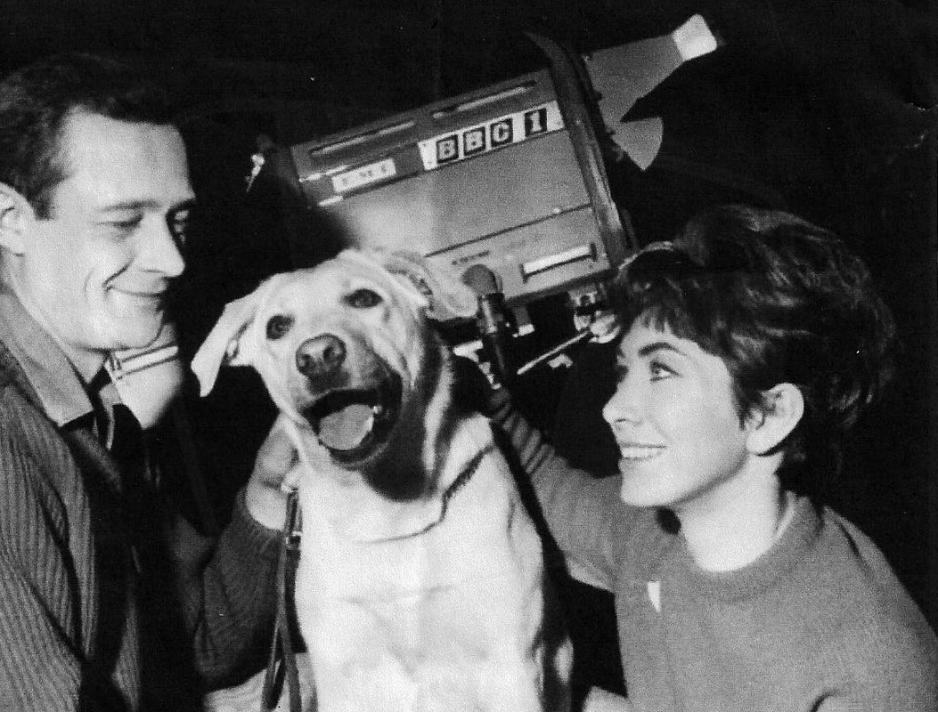 Trace, Christopher - Showreel